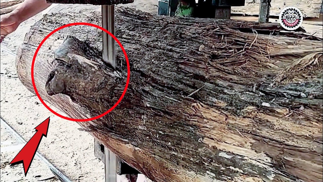 Tricks for Cutting Crushed Wood Correctly at a Sawmill || woodworking ...