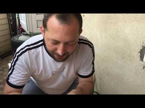 Əbabil quşu qonağımız oldu