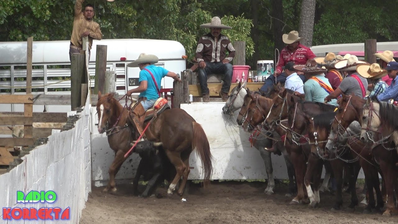 CUARTA PARTE DEL COLEADERO RANCHO LOS CUATES - YouTube