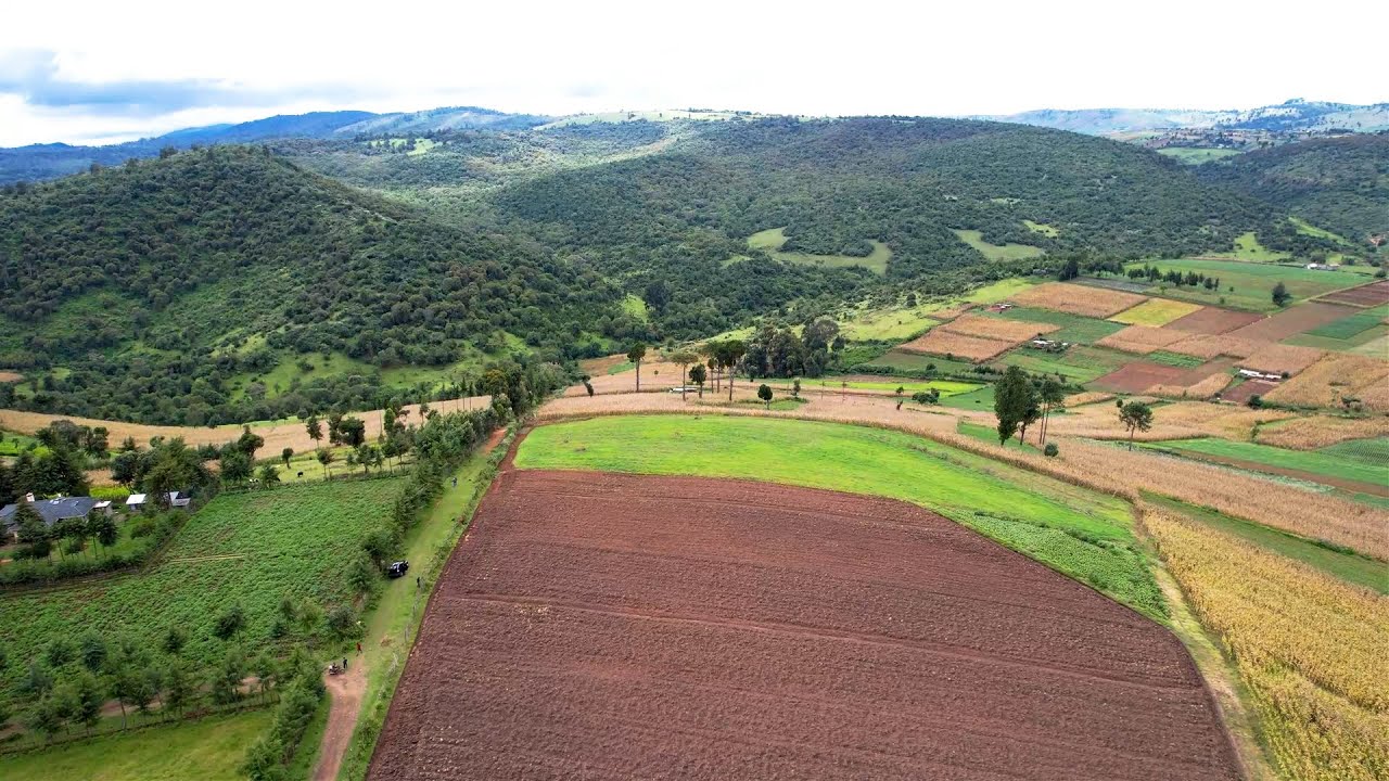 Mau Forest Complex in Peril: The Deforestation Crisis Exposed - YouTube