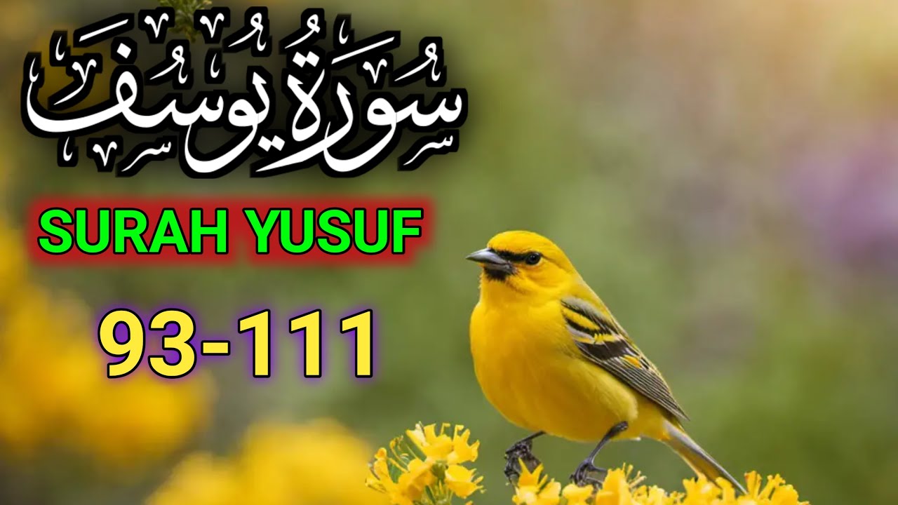 surah yusuf 93-111 | Al Qari Amar Bin Abbu Yousuf | With Arabic Text ...