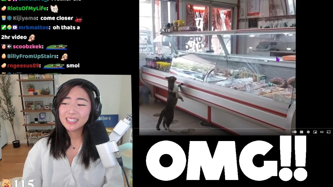 Janet (xChocoBars) Reacts To Daily Dose Of Internet - YouTube