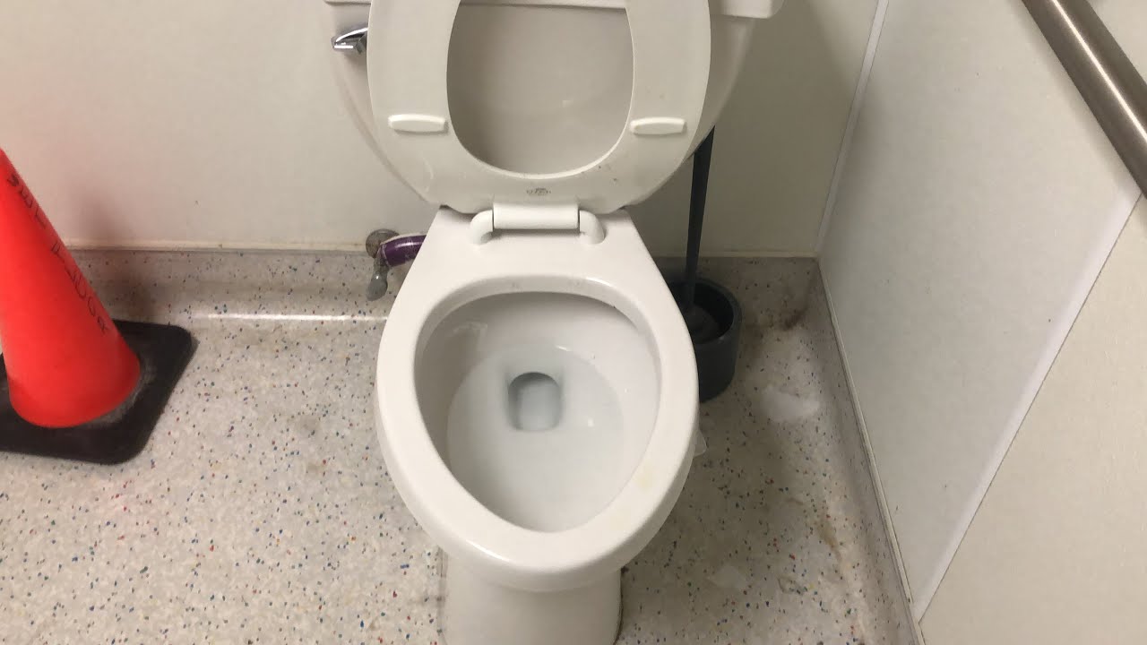 722: Petco Men’s Restroom - YouTube