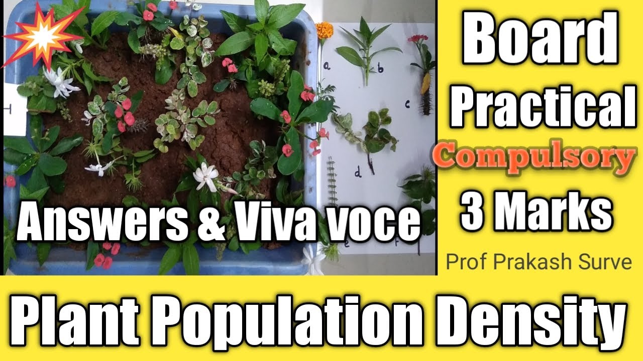 How to write answers in Biology Practical book - Plant Population ...