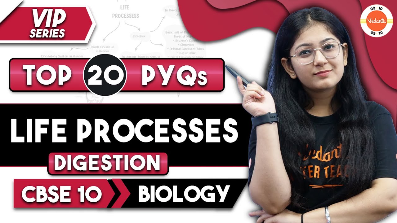TOP 20 Important Life Processes Class 10 Previous Year Questions ...