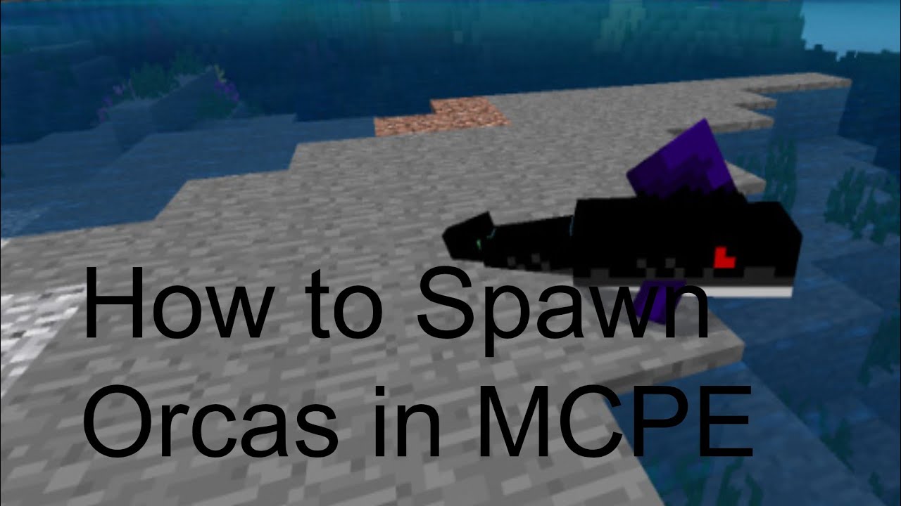 How to Spawn Orcas in MCPE - YouTube