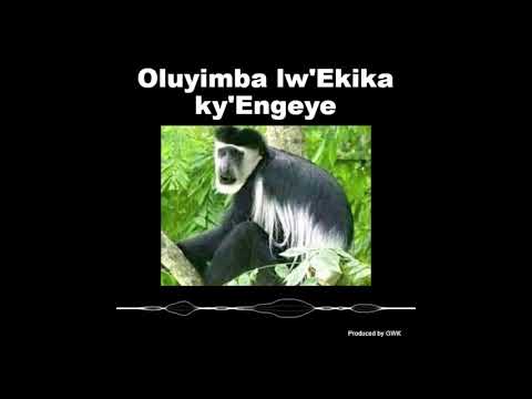 Oluyimba lw'Ekika ky'Engeye | Ngeye Clan Anthem Version 2 - YouTube