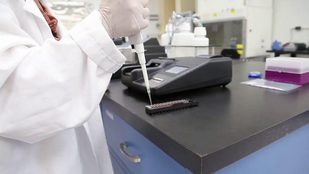 Stat Fax 4700 Elisa Microstrip AutoReader - YouTube