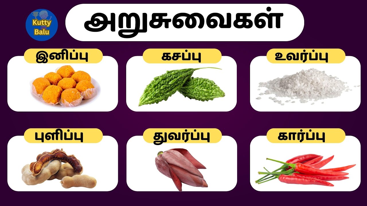 அறுசுவைகள் | Learn Tastes in Tamil | Learn Six Tastes Names in tamil ...