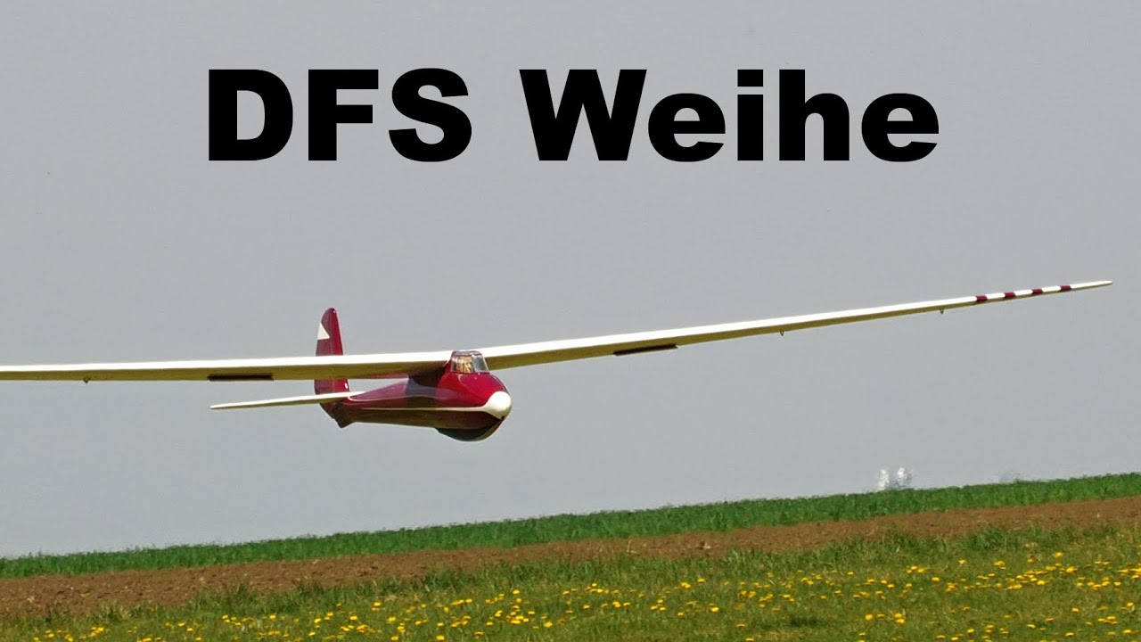 DFS Weihe ModellStudio CZ | scale RC glider | 4K | Syrovice 2022 - YouTube