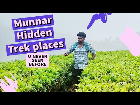 MUNNAR HIDDEN TREK PLACE SHOLAS|DEEP FOREST| #munnar #munnartravelguide ...