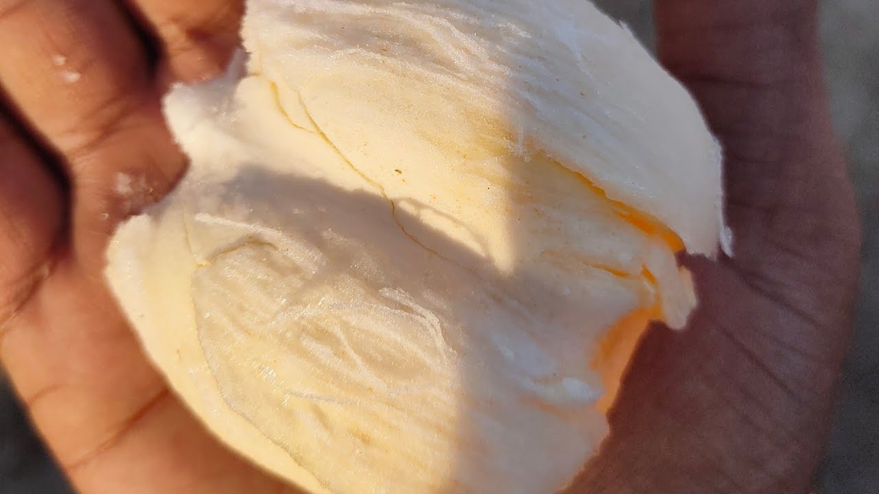 How to take thati munjalu or thati nunjalu(ice apple) - YouTube