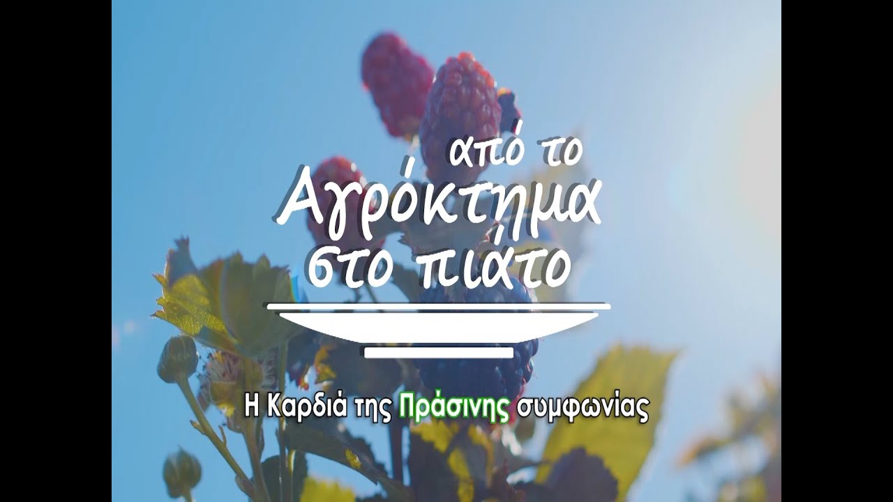 ΑΠΟ ΤΟ ΑΓΡΟΚΤΗΜΑ ΣΤΟ ΠΙΑΤΟ ΕΠ 07 - YouTube