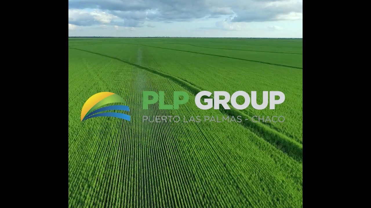 PLP Group Institucional - Español - YouTube