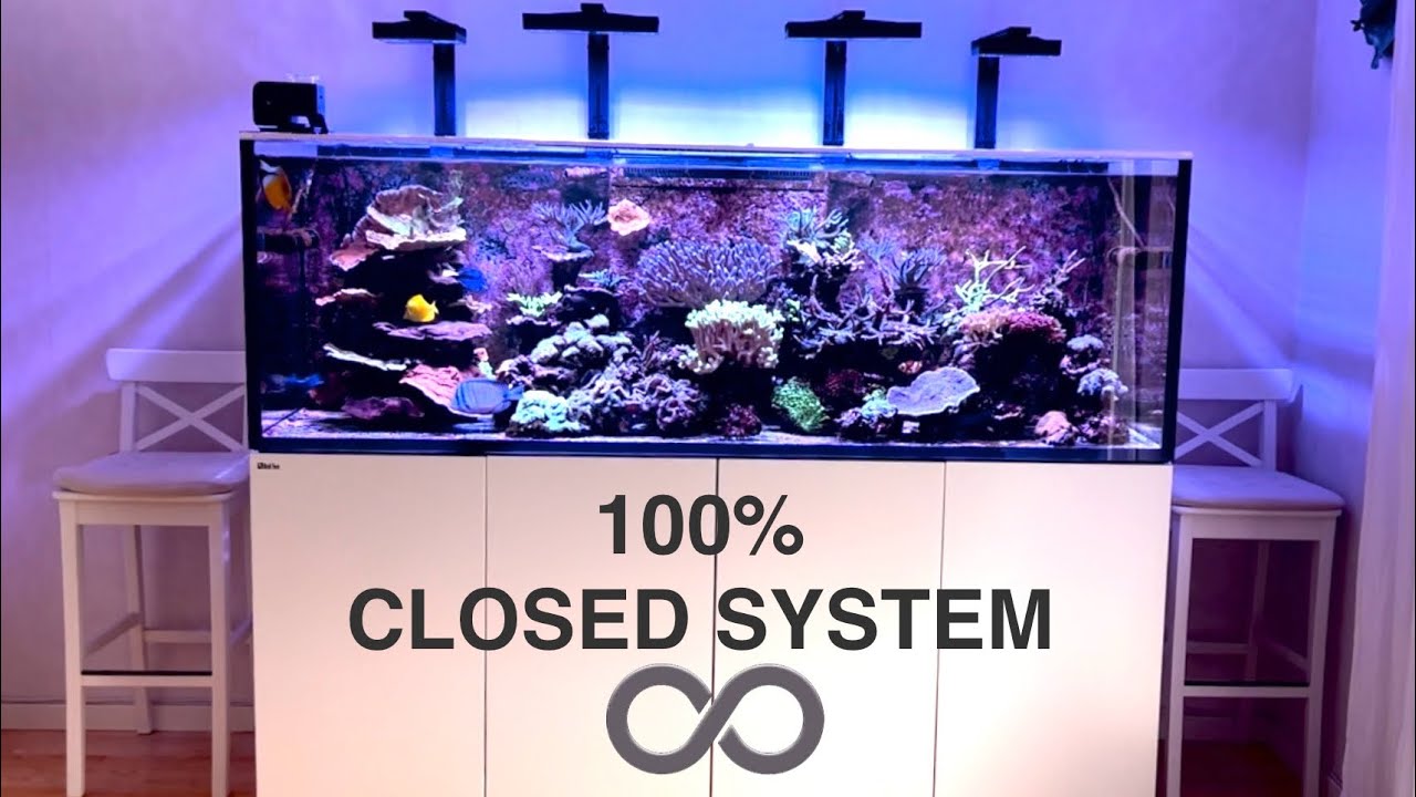 Closed Reef System | No water changes since 2020 - YouTube