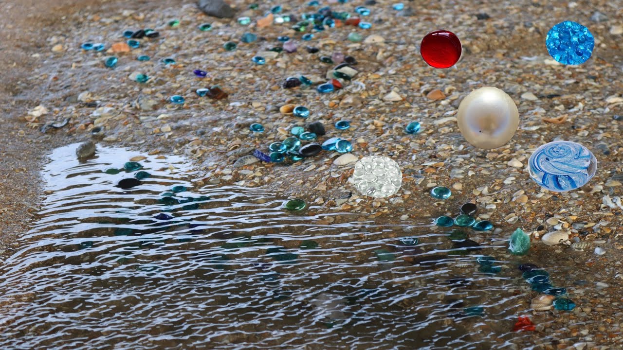 millions of Clams-shell stay with Crystal from nature | Where finding ...
