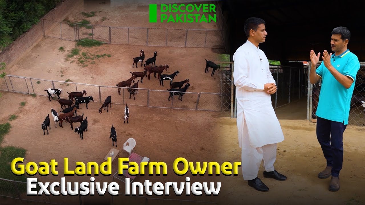 Goat Land Farm Owner Informative Interview | Discover Pakistan Tv - YouTube