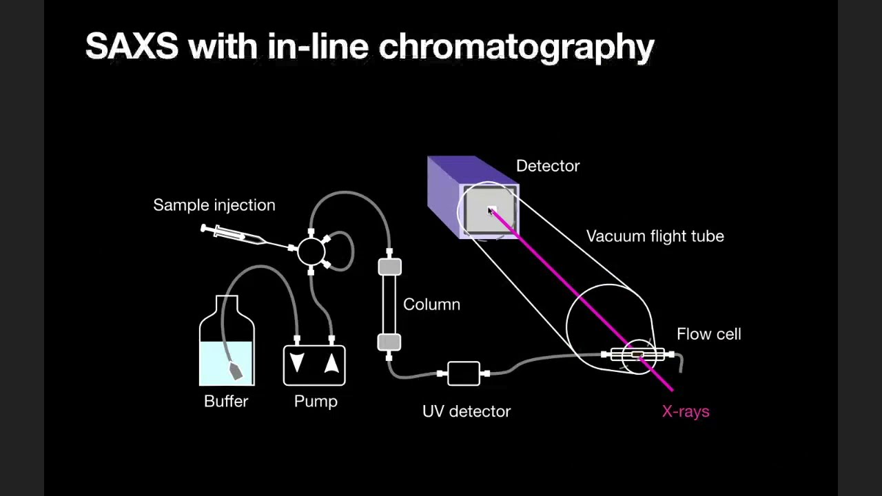 Size Exclusion Chromatography coupled SAXS (SEC-SAXS) - YouTube