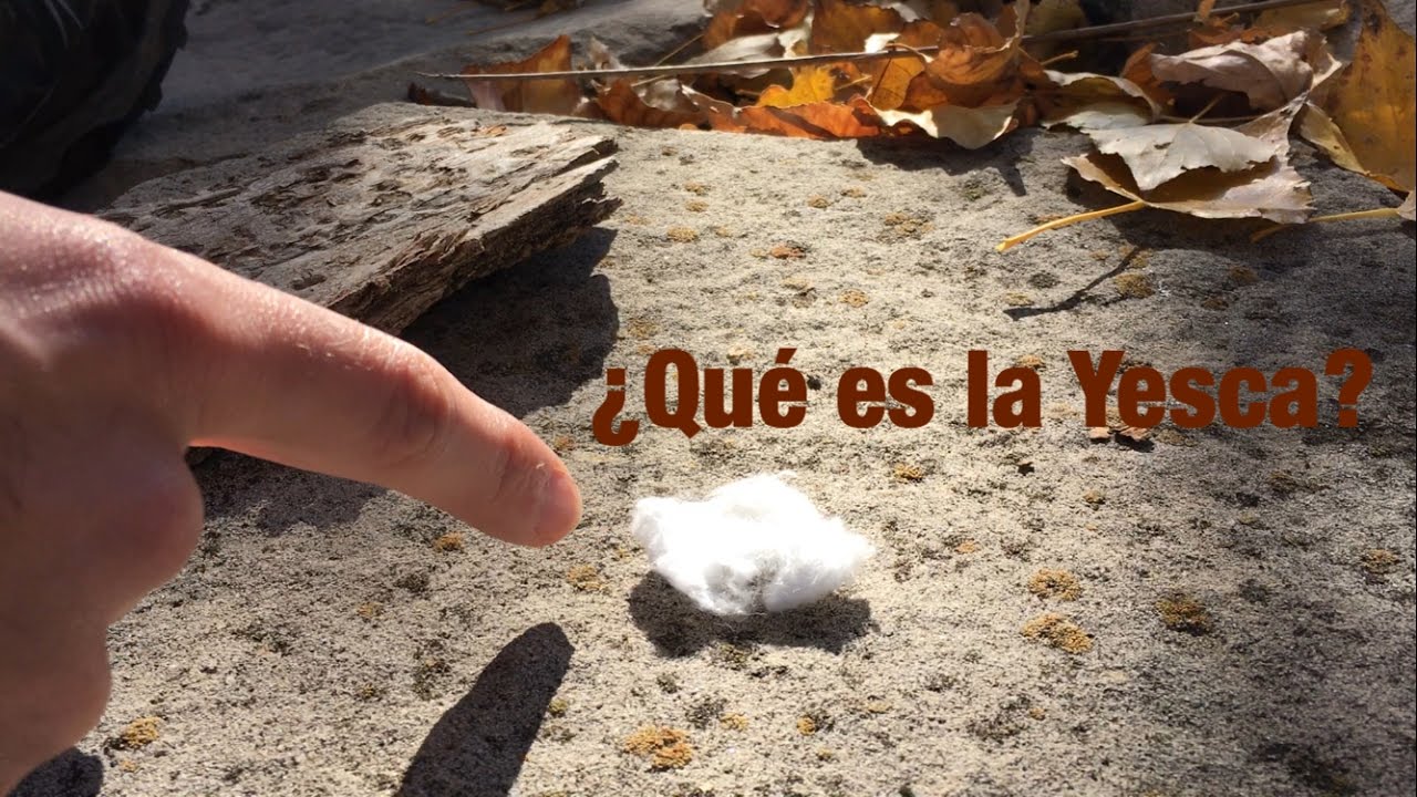 ¿Qué es la Yesca? ¿Para qué sirve? Tipos de Yesca. - YouTube