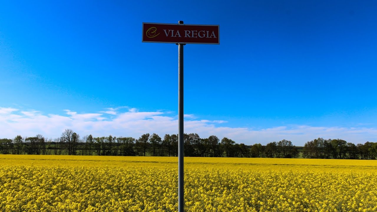 Entlang der Parthe wandern mit @FrauWNiemand || Teil 3 || 28.04.2024 ...