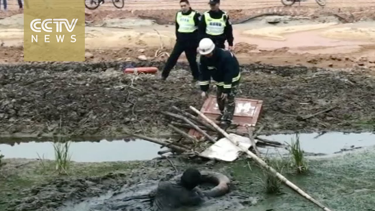 Footage: Firefighters rescue drunken man from deep mire - YouTube