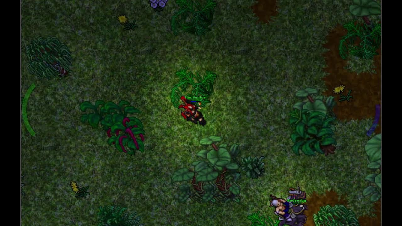 🔴 Tibia PVP & PVE Live Stream - YouTube