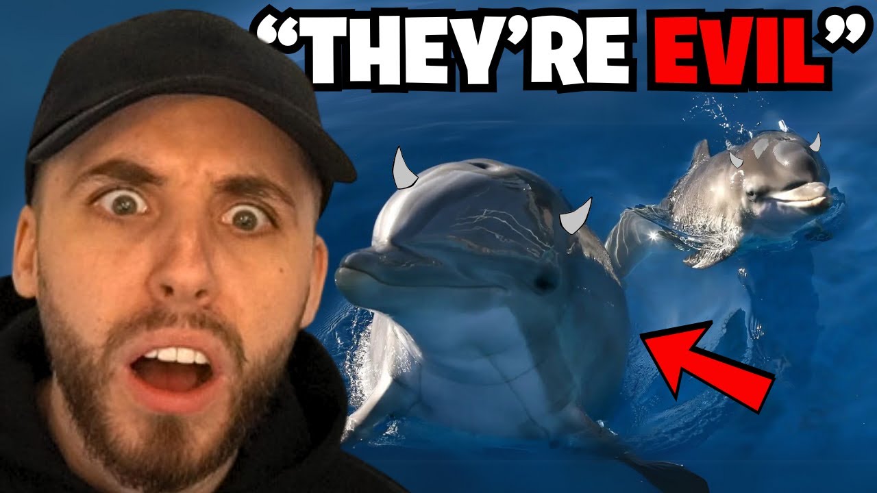 Evil Dolphin Memes