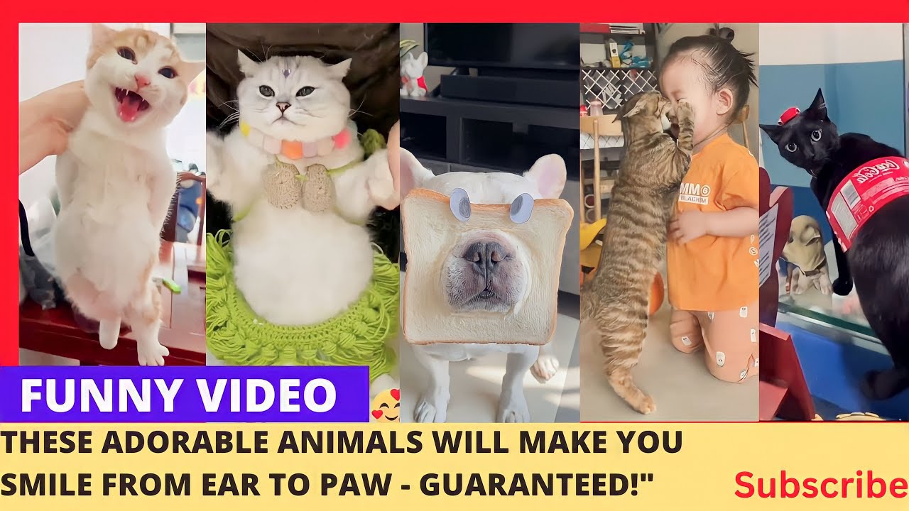 "These Adorable Animals Will Make You Smile from Ear to Paw ...
