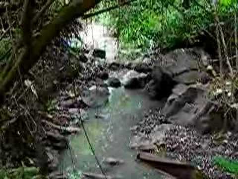 Polluted Rivers: A View from Mexico - YouTube