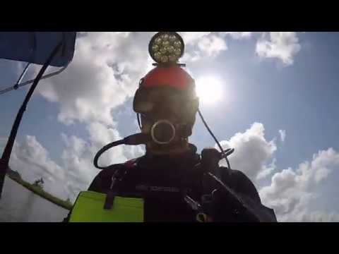 Cooper River shark tooth diving - YouTube