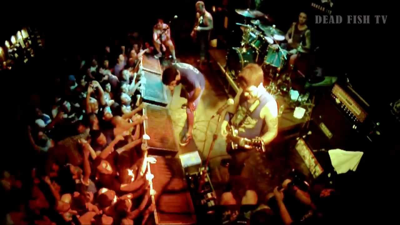 Dead Fish no lançamento do DVD 20 Anos - Contra Todos / Sua Bandeira ...