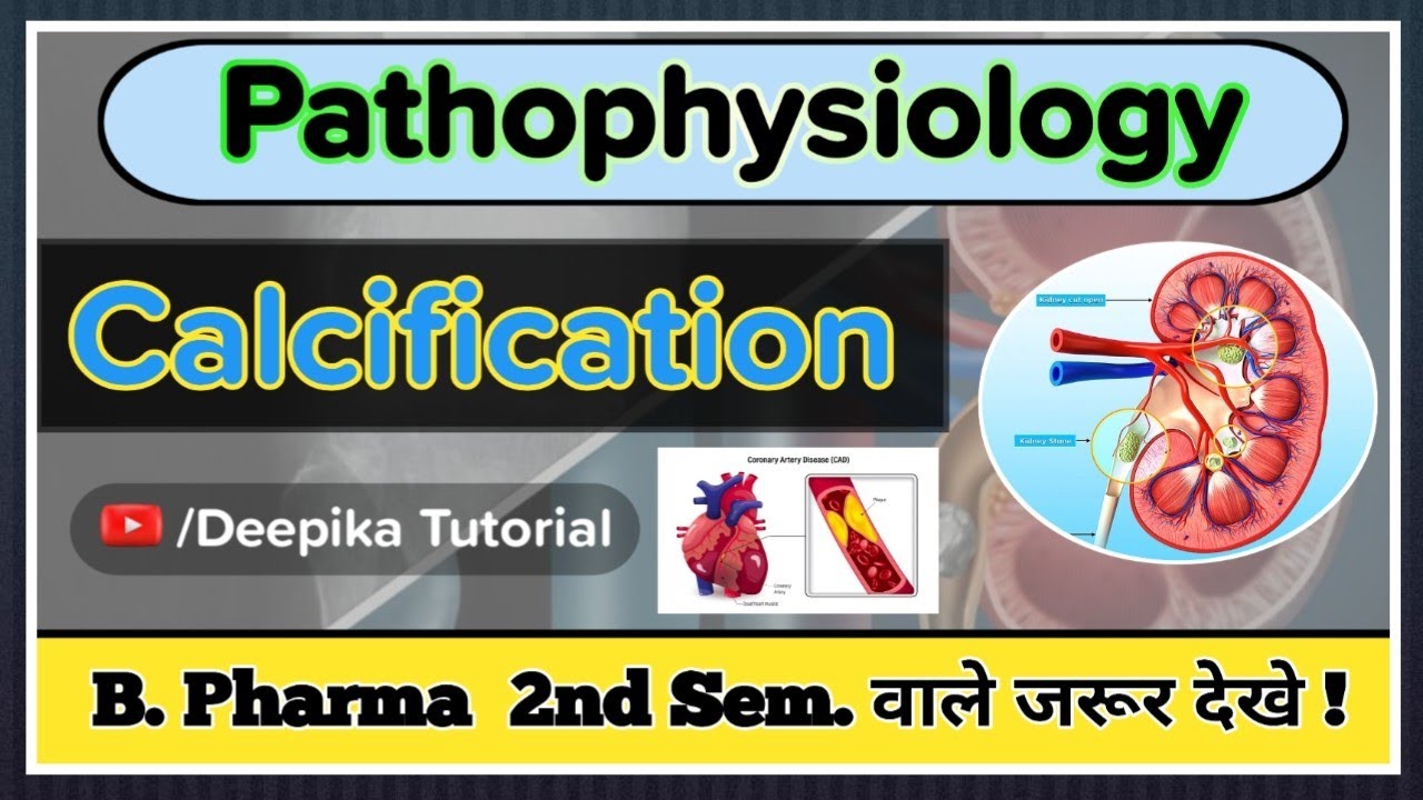 Calcification || Pathophysiology || B pharmacy || 2nd sem. # ...