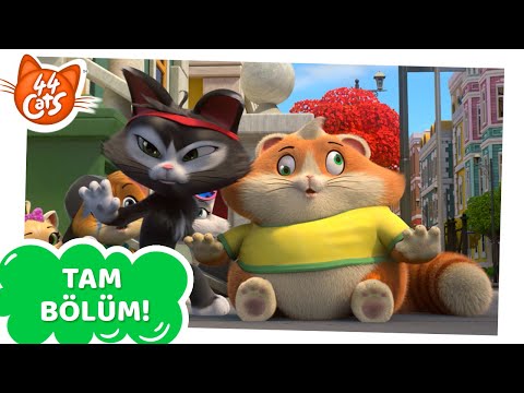 44 Kedi | TAM BÖLÜM | Milady ve Kedi-Fu Ustası | Sezon 1 Bölüm 13