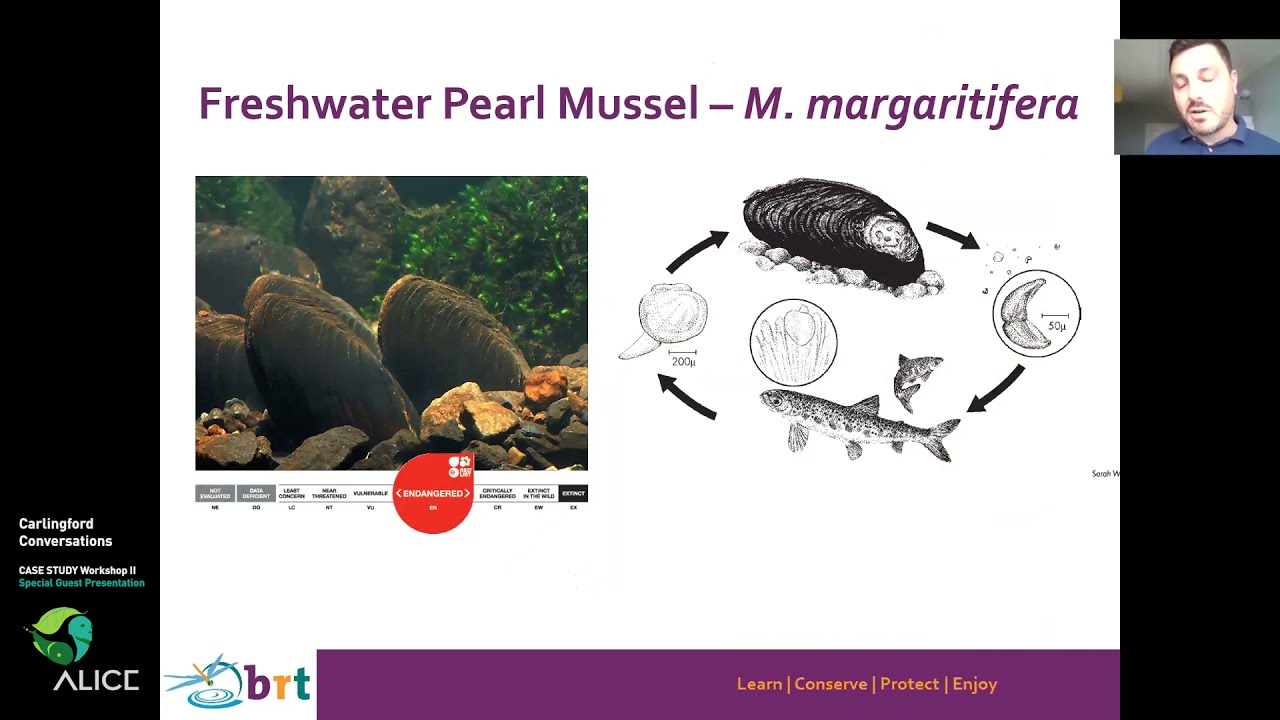 Mark Horton, Ballinderry Rivers Trust - Carlingford Catchment ...