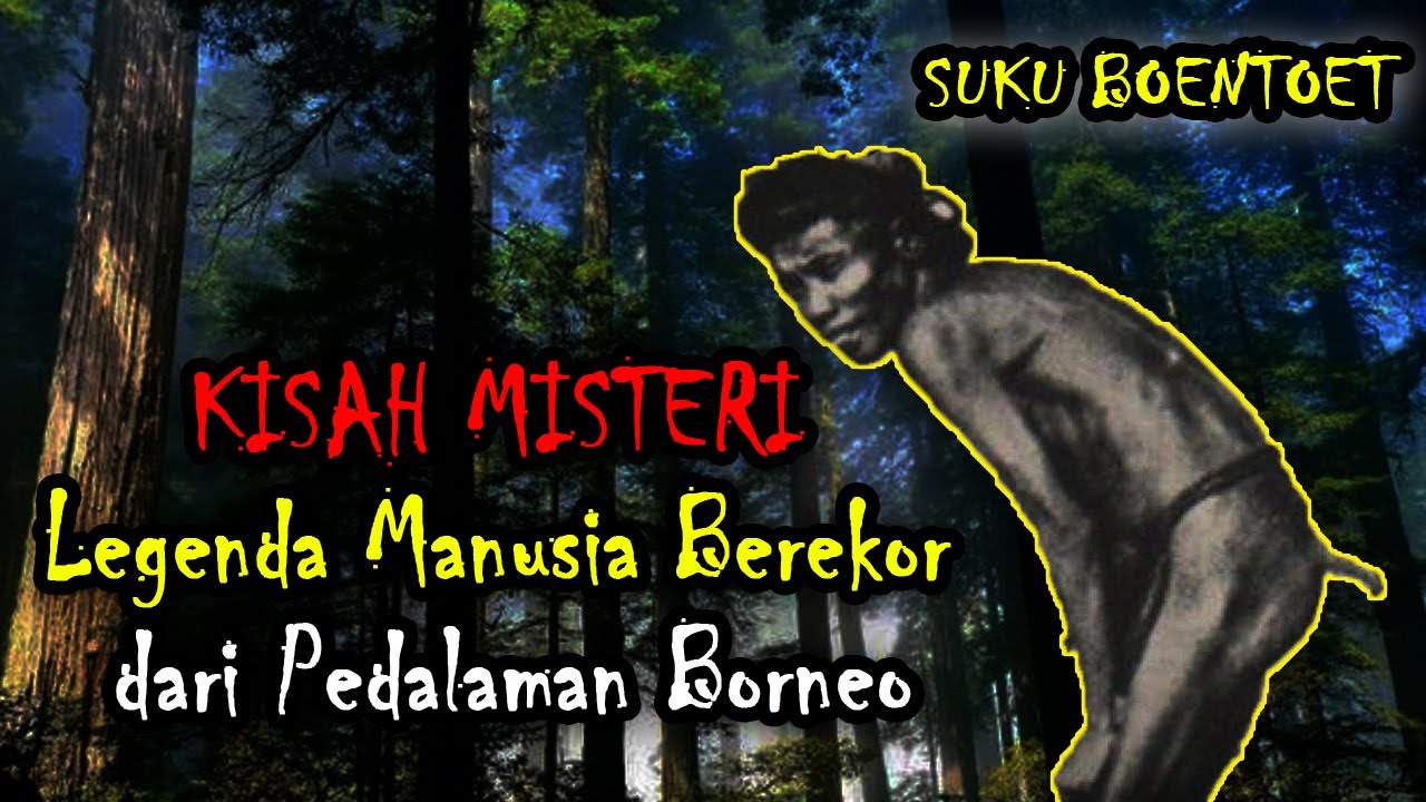 Legenda Manusia Berekor dari Pedalaman Borneo - kisah misteri suku ...