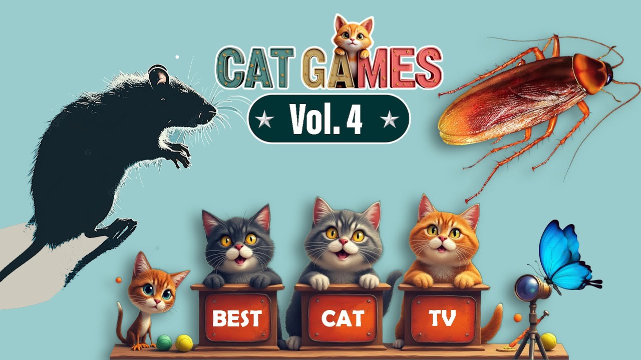 Cat Games 😸 Non-Stop Entertainment & Stimulation for Cats – Cat TV for ...