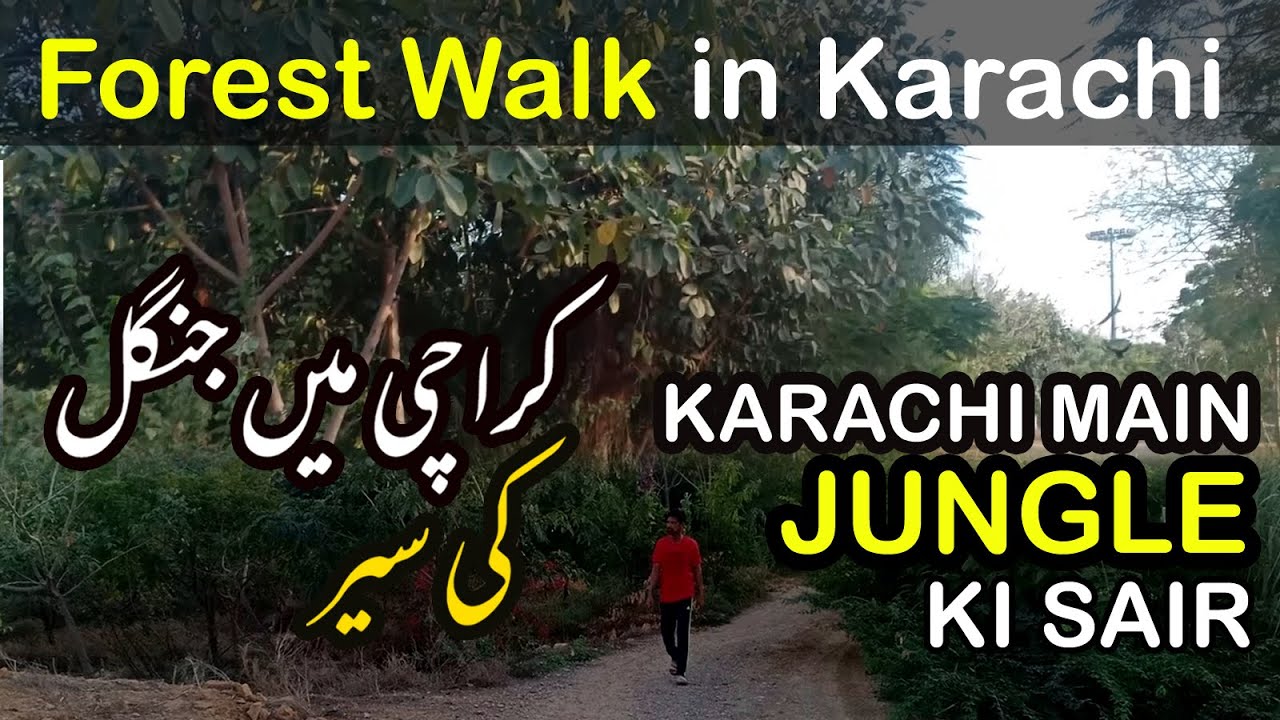 Karachi Main Jungle ki sair | Forest and Mountain walking tour in ...