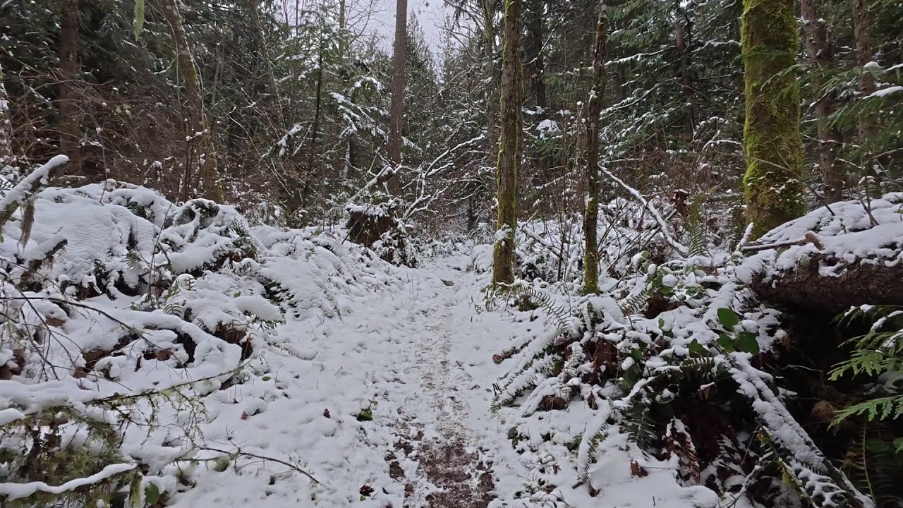 Anacortes-Hiking up snow and ice covered ACFL Trail 300. - YouTube