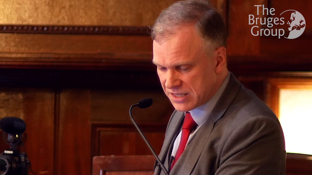 Andrew Lilico 12 Why We are Leaving the EU - YouTube