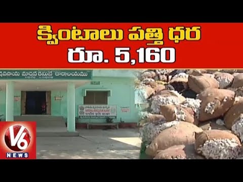 Cotton Price Touches All Time Record in Peddapalli Market | V6 News ...
