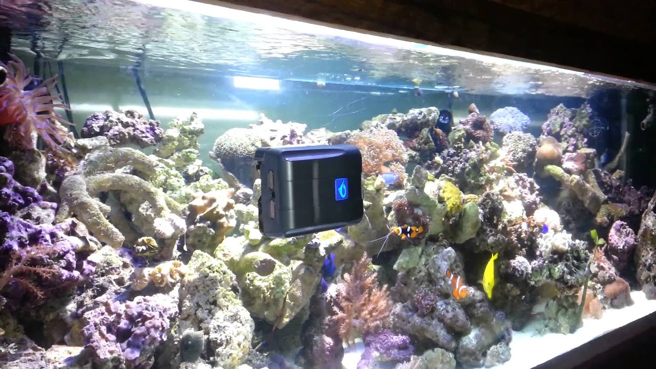 Robo snail at work - YouTube