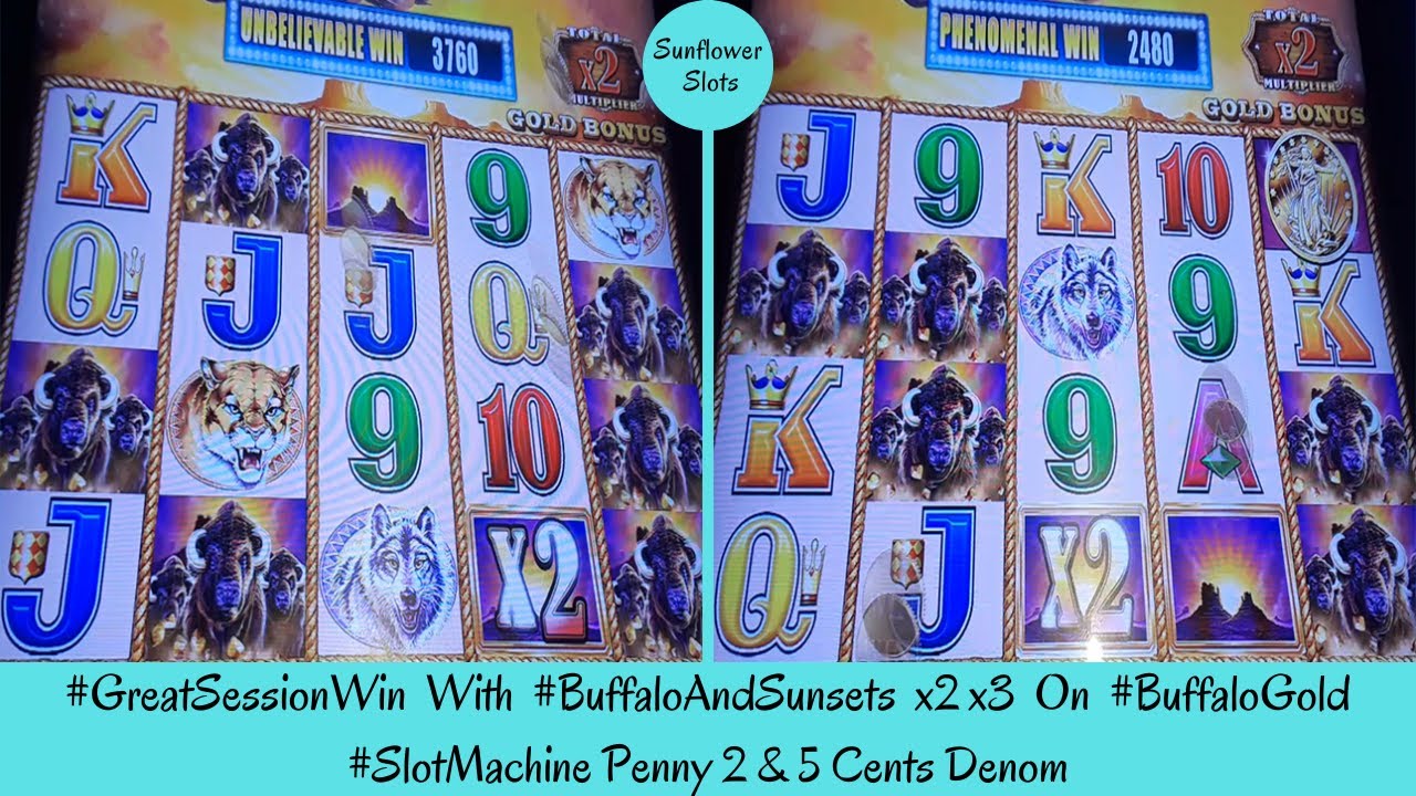 GREAT SESSION WIN With Buffalo And Sunset x2x3 On BUFFALO GOLD Slot ...