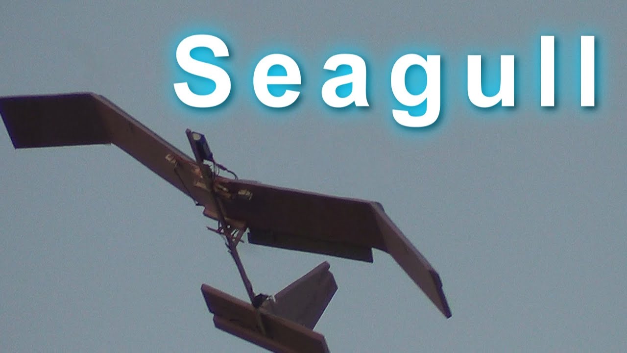 RC Seagull Plane (Very Bad) - YouTube