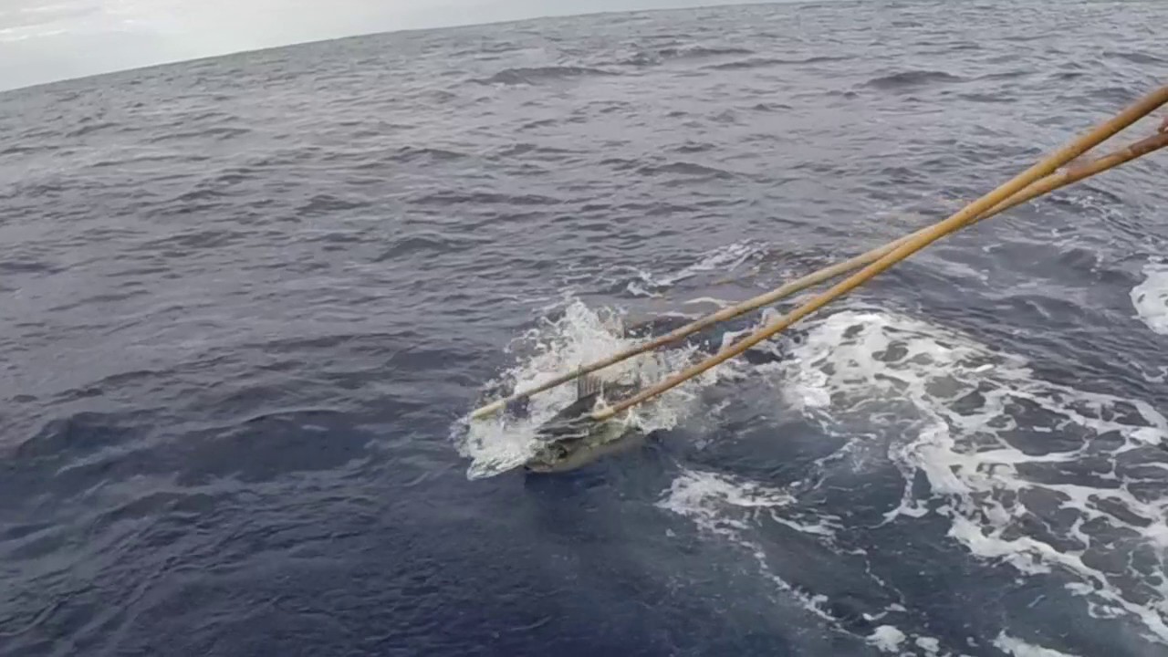 Royal Star 2016 - YouTube