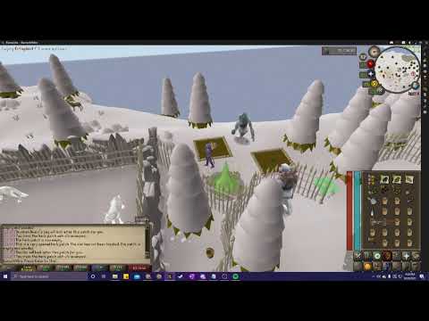 OSRS Farming Run