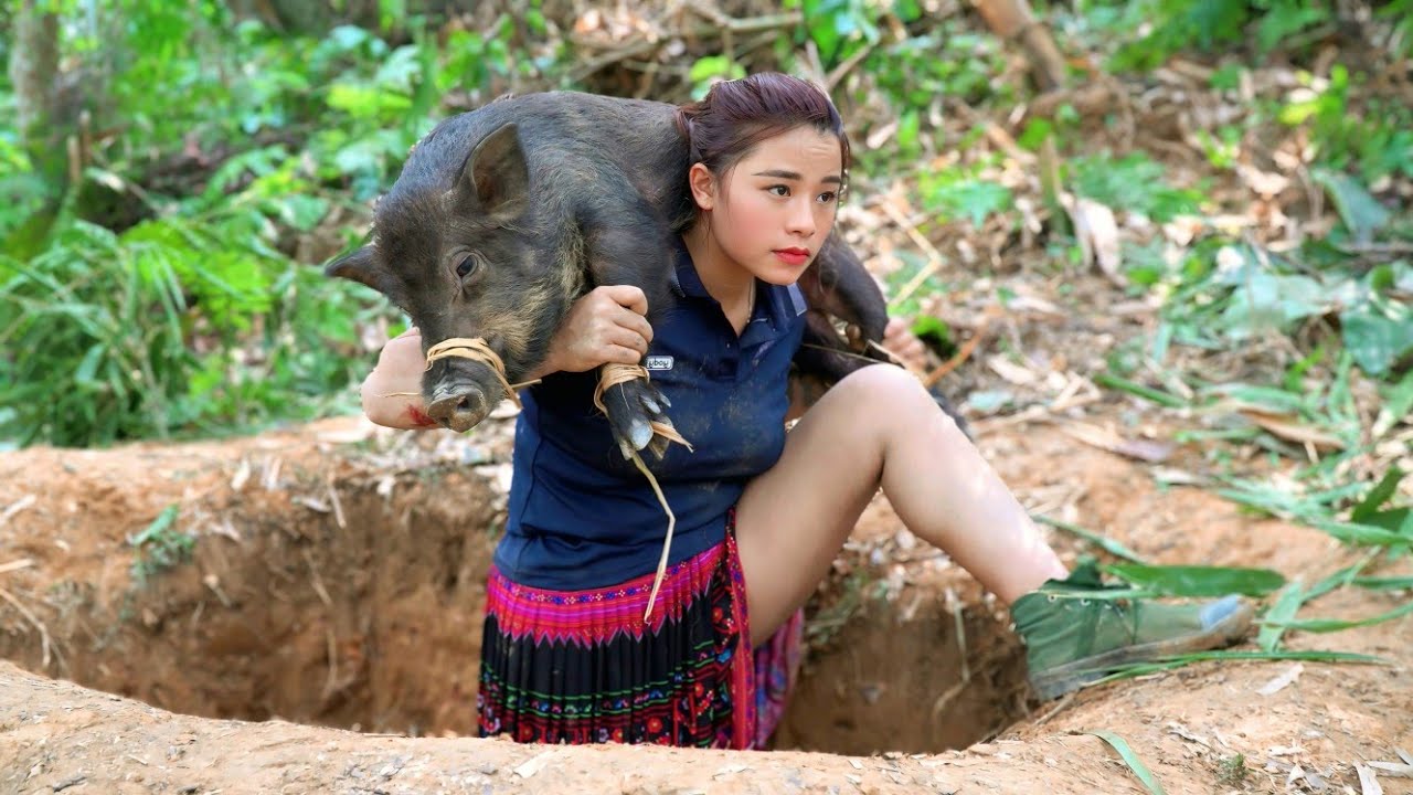 Young girl's way of trapping wild boars, searching for wild food ...