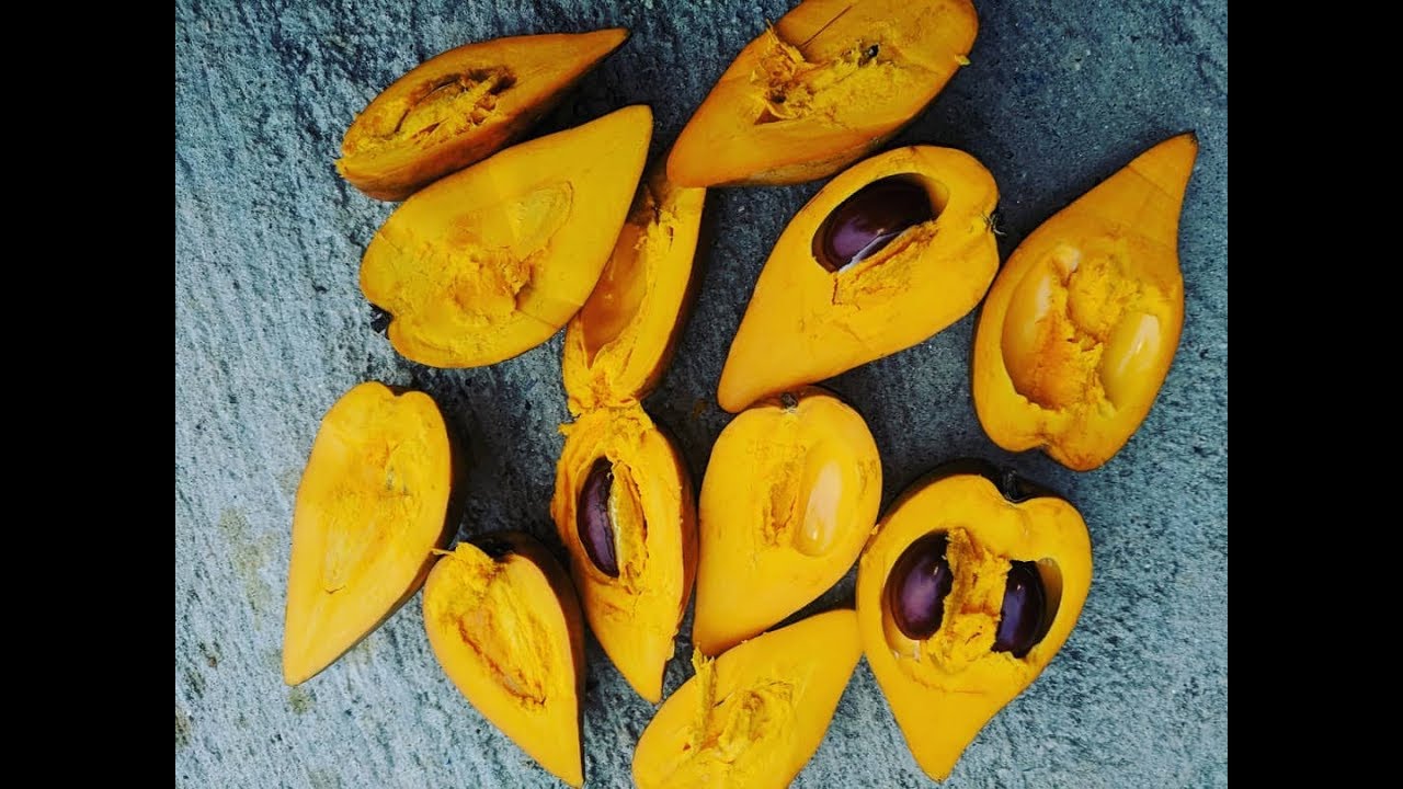 Canistel(Egg Fruit) taste test!// Last day in Ban Chang, Thailand - YouTube