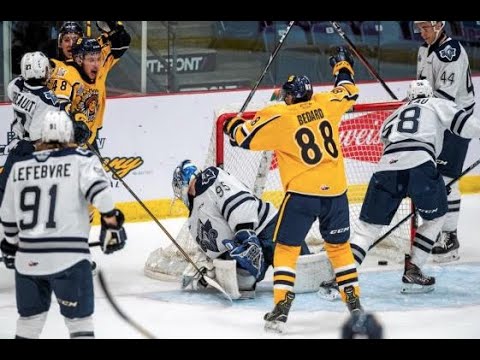 PFR Highlights: RW Anthony Bedard (2021 NHL Draft) - YouTube