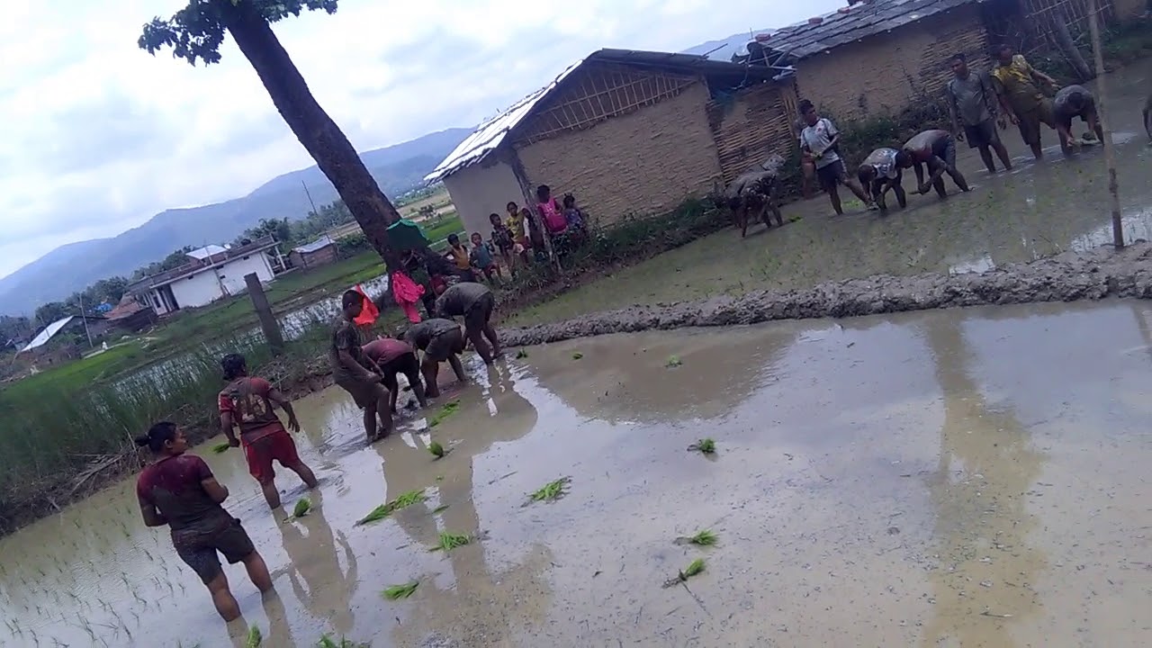 Asar 15 th celebration - YouTube