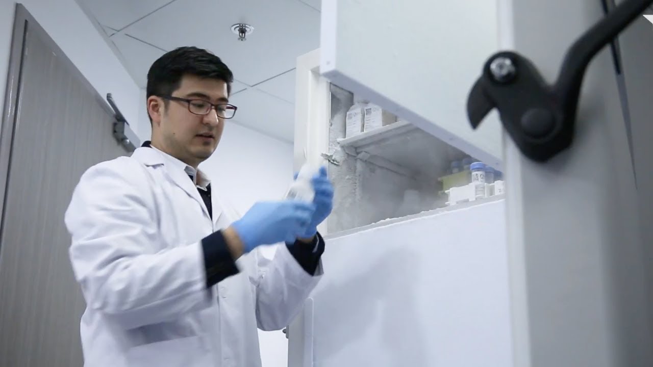 Biotech startup opens 'poop bank' - YouTube